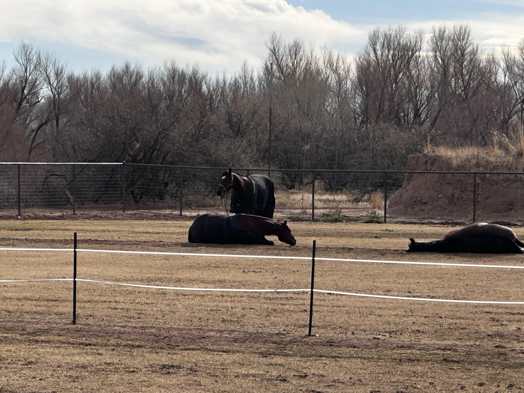 Boarding - River-Ranch